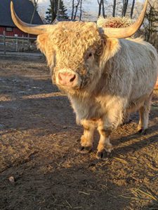 Despite pandemic, Unity Farm's mission continues - Hometown Weekly