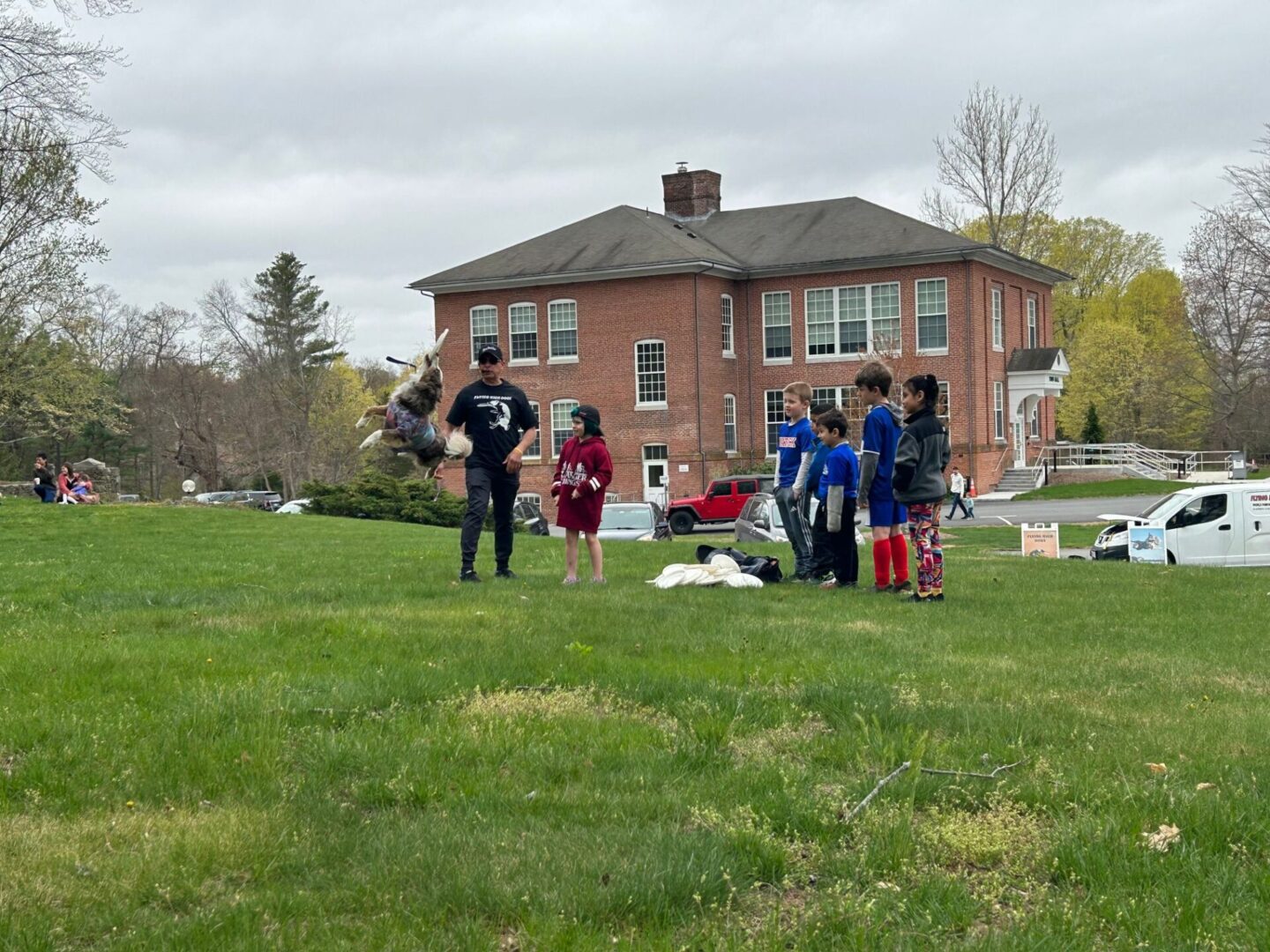 Border collies fly at Sherborn Library - Hometown Weekly