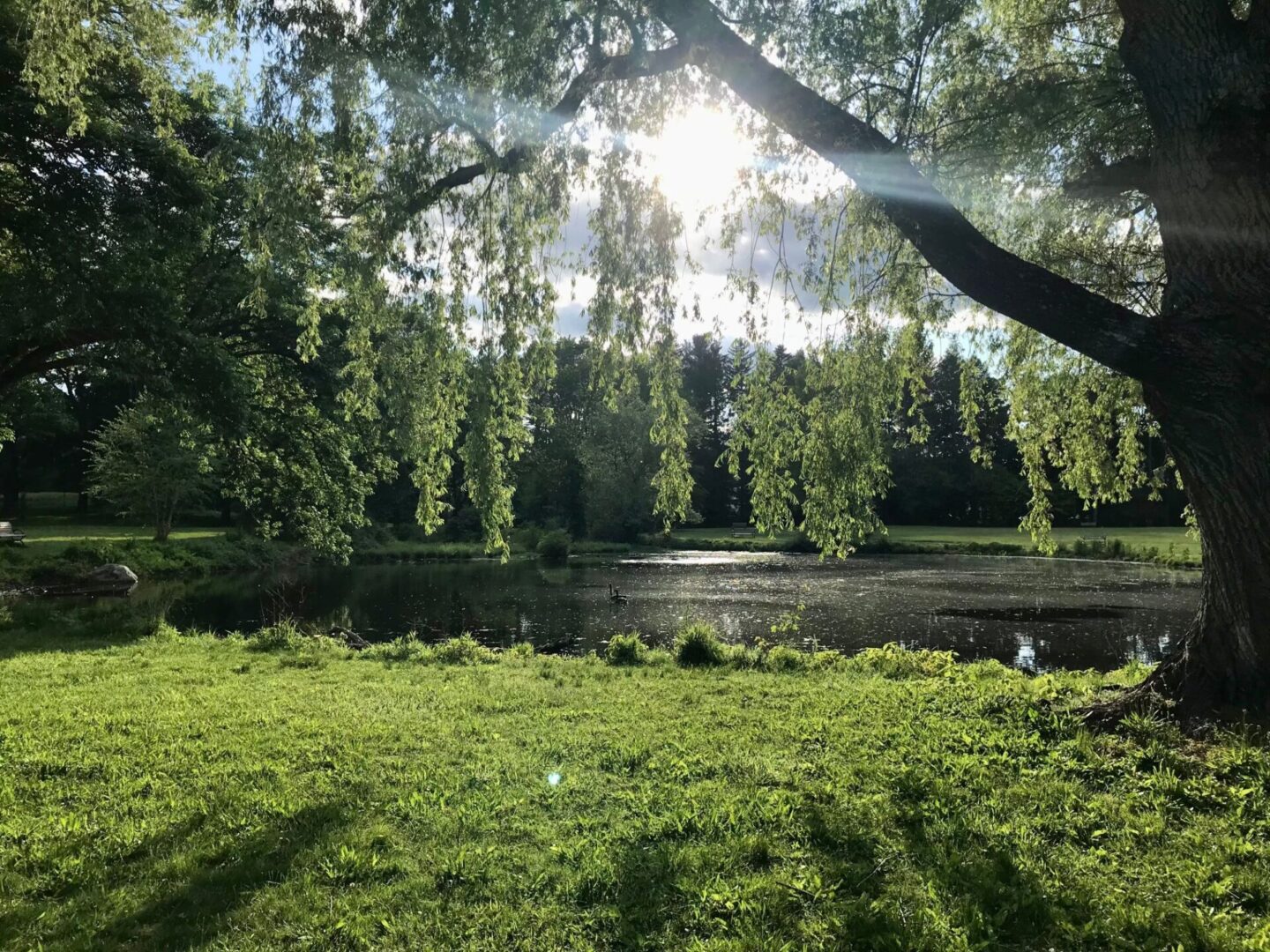 Making time for movement - Hometown Weekly