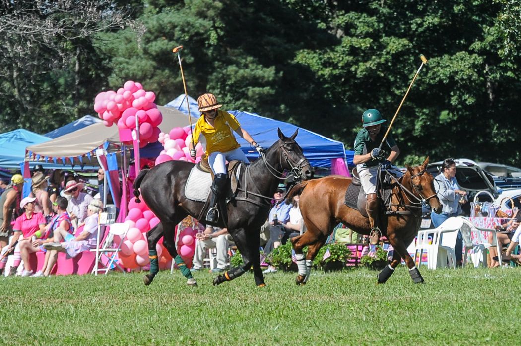 20th Annual Polo in the Country - Hometown Weekly