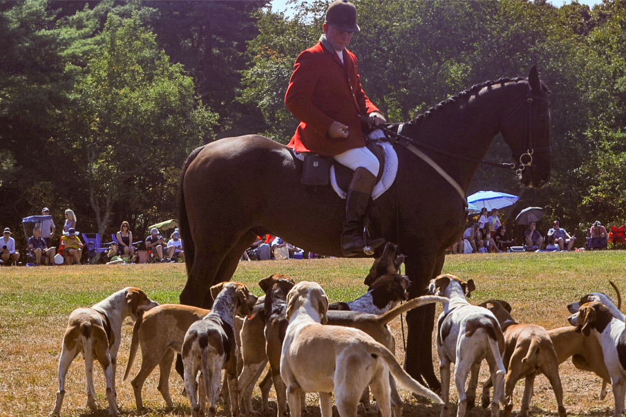 Locals enjoy Polo in the Country - Hometown Weekly